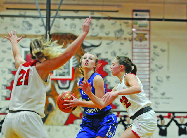 10th Region Girls Basketball Coaches Association All-Region Teams ...