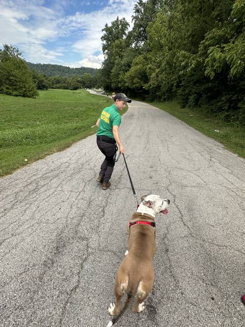 Mason County gets a new animal control officer | Ledger Independent ...