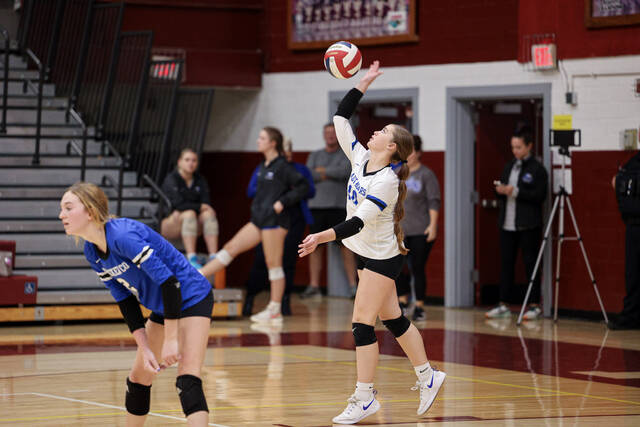 Lady Bears advance | Ledger Independent - Maysville Online