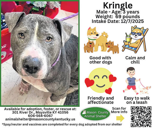Wagging Tales from Mason County Animal Shelter | Ledger Independent ...