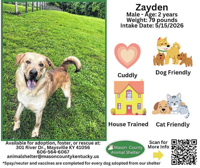 Wagging Tales from Mason County Animal Shelter – Ledger Independent ...